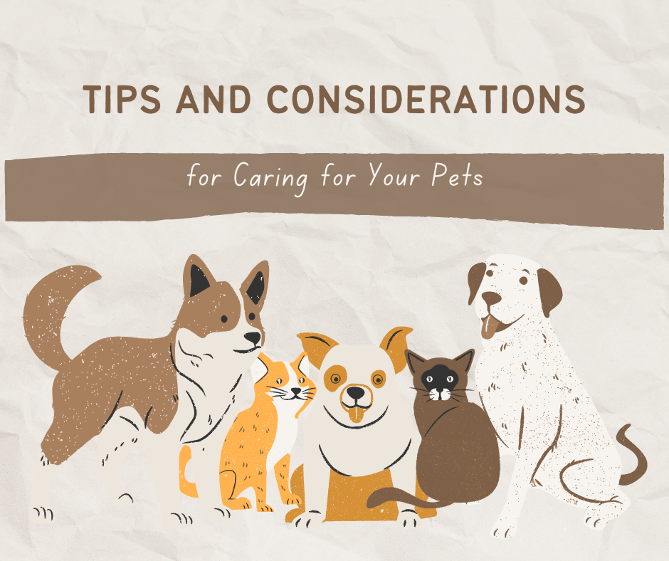 Tips and Considerations for Caring for Your Pets – CUSTOMOMO